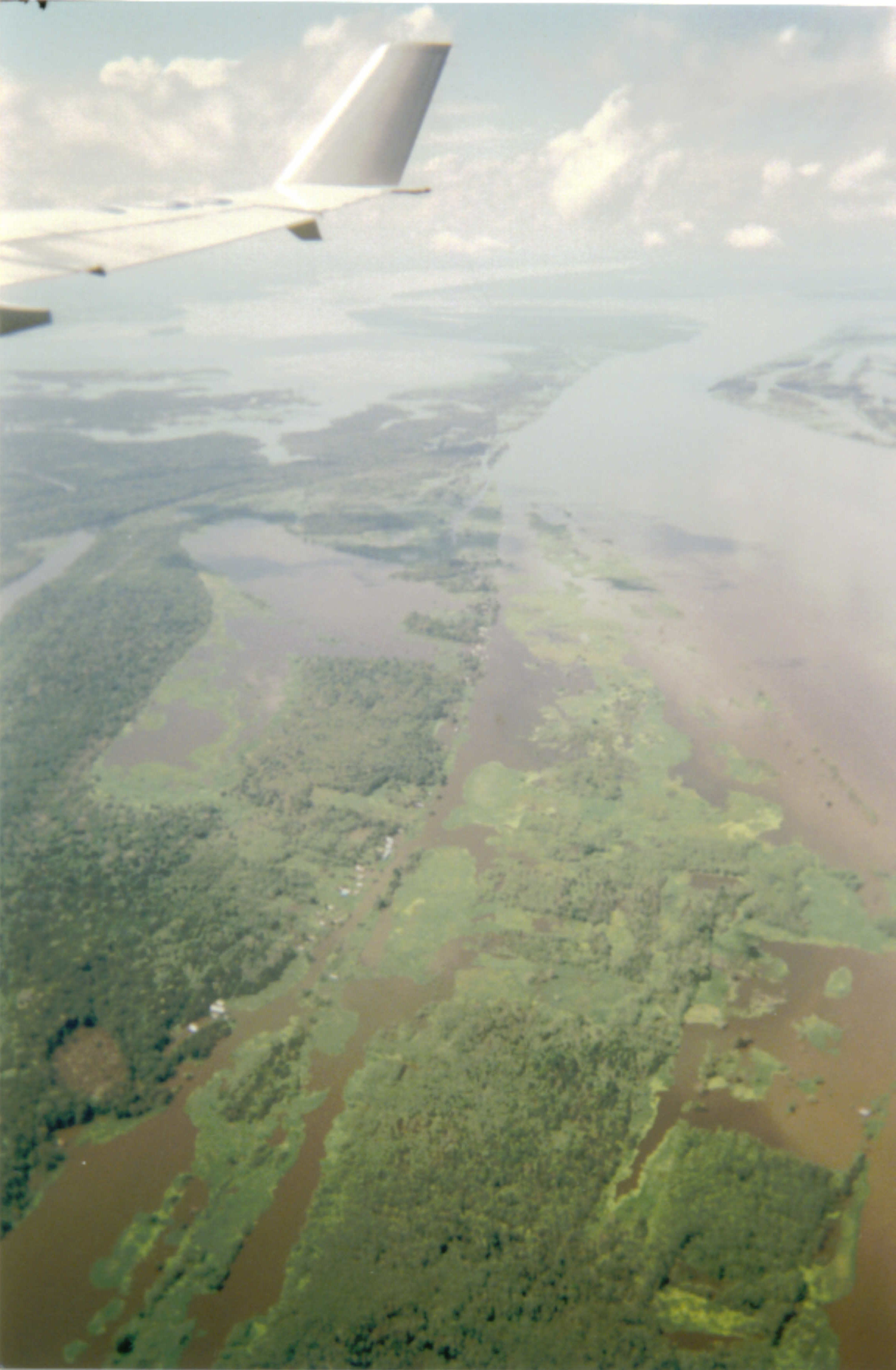 Varzea Forest, Brazil | NASA SWOT